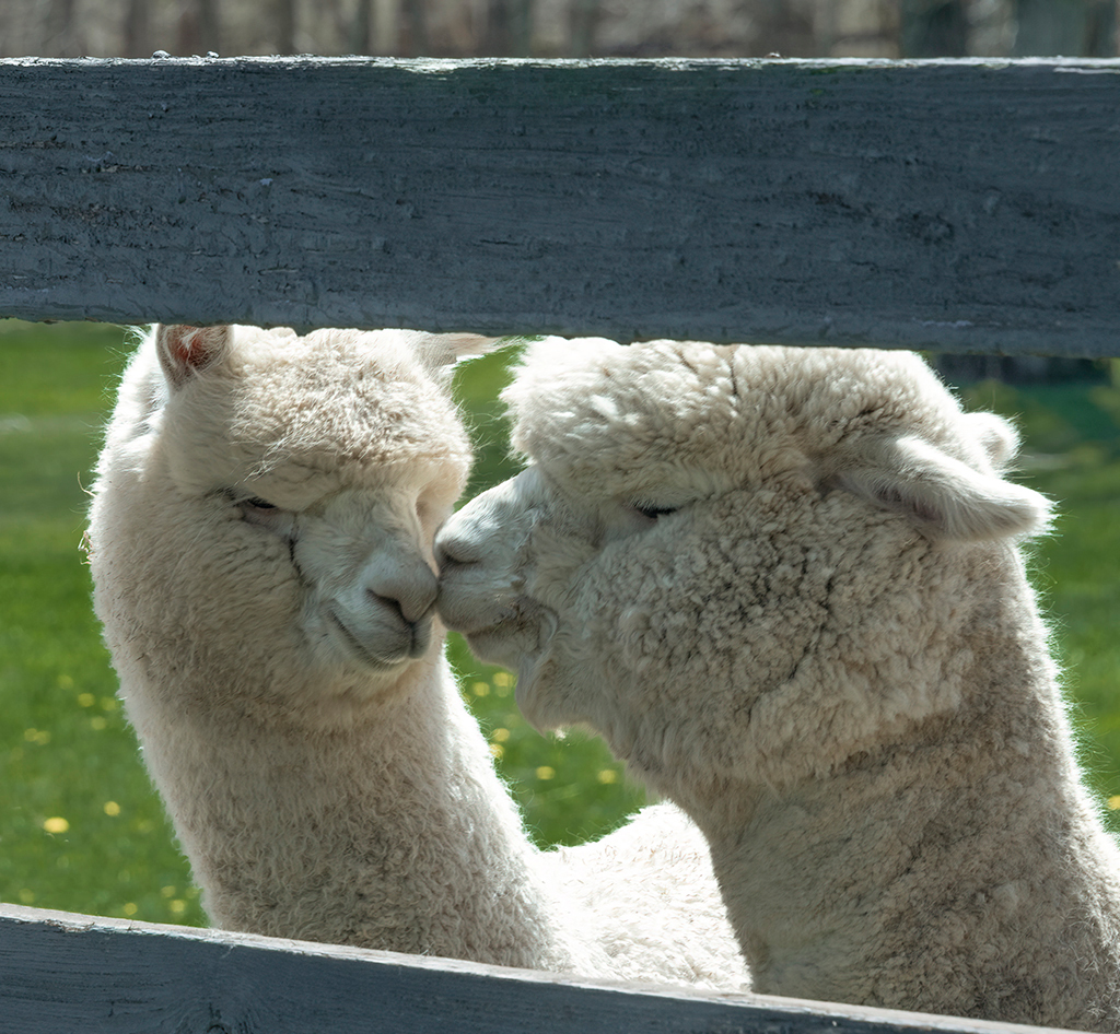 MY STORY – Colleen B. Reilly Photography